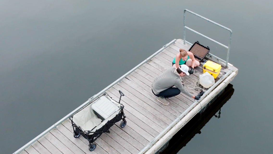 Experience | For Every Future: the Campaign for Middlebury