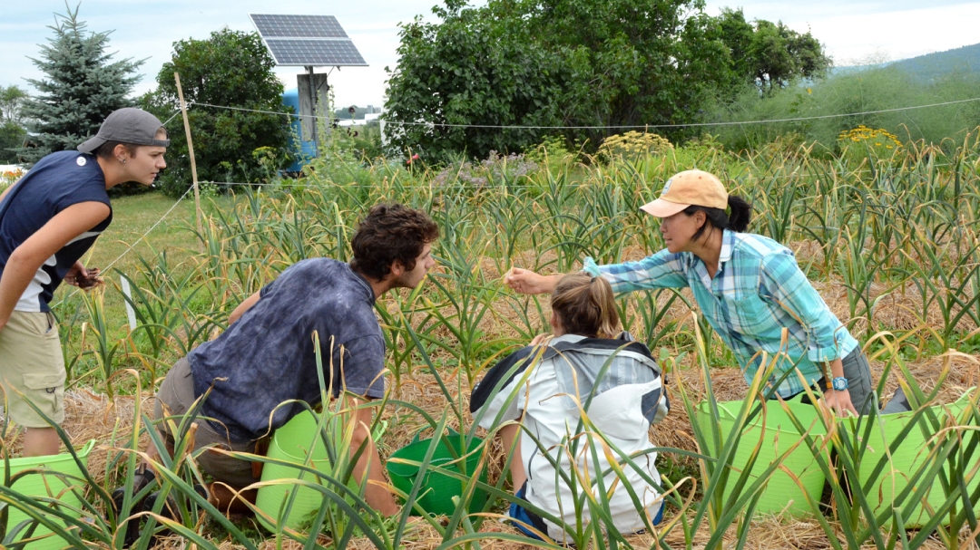 Academics | Middlebury College