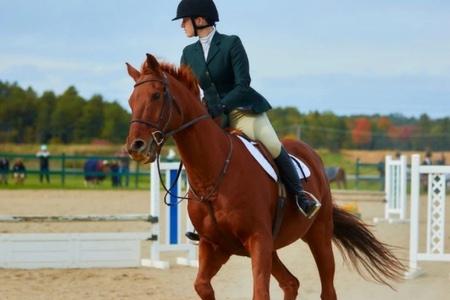 Equestrian Team Home Show | Events