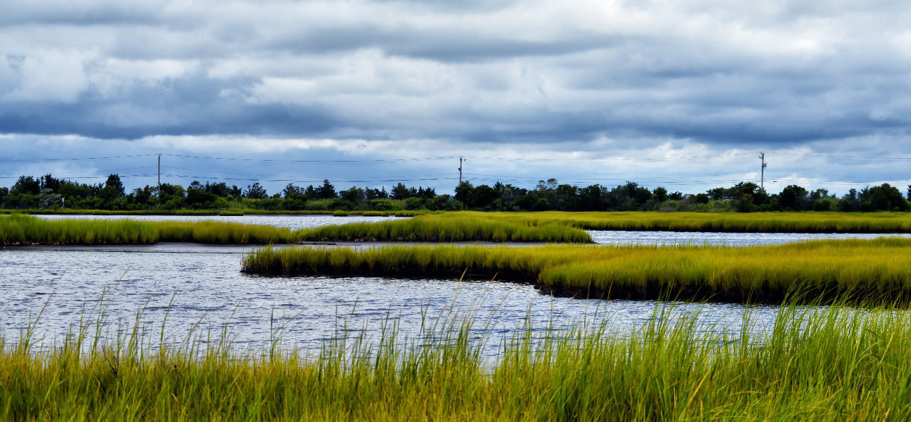 The Economic Value of America's Estuaries | Middlebury Institute of ...