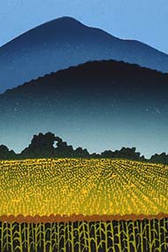 Sabra Field, Now and Then: A Retrospective | Middlebury College Museum ...