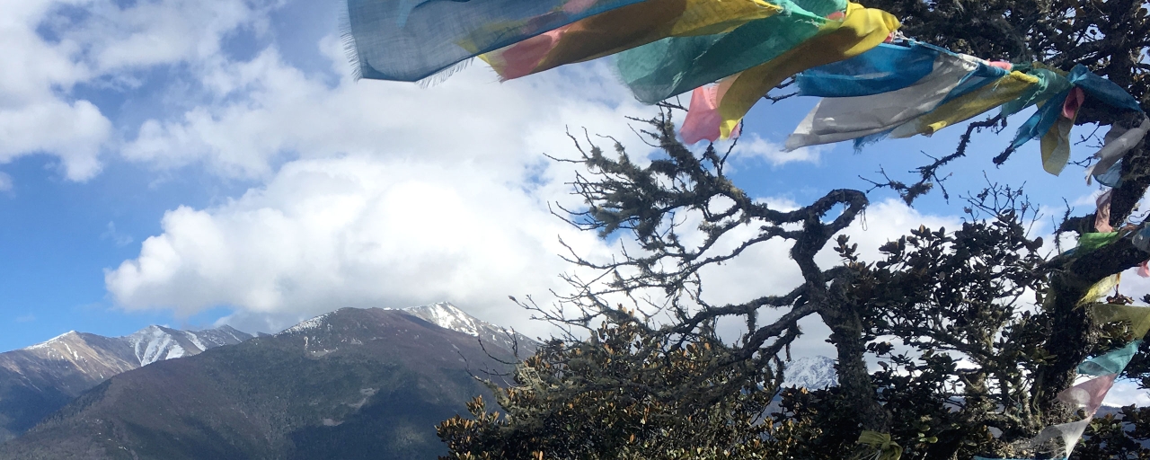 Admissions and Financial Aid | Middlebury Schools Abroad